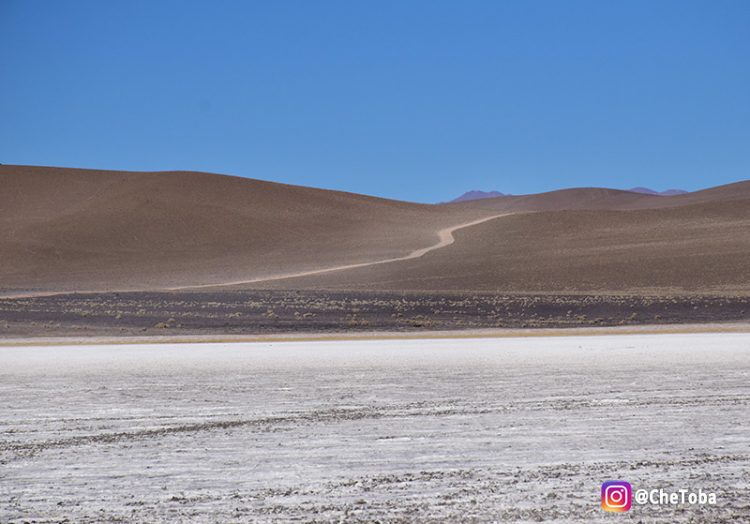 Las mejores imágenes de la Puna Catamarqueña