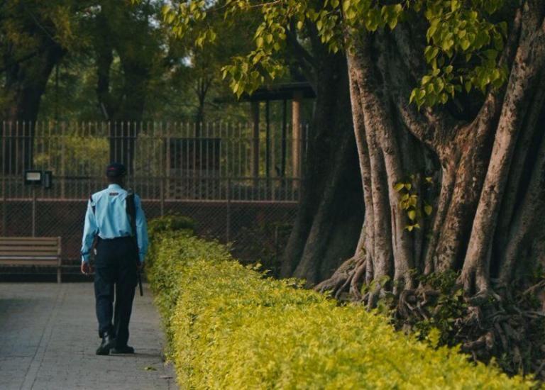 Diferencias entre Conservar, Preservar y Proteger la Naturaleza